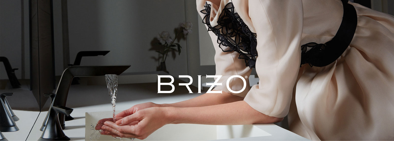 Logos | Brizo
