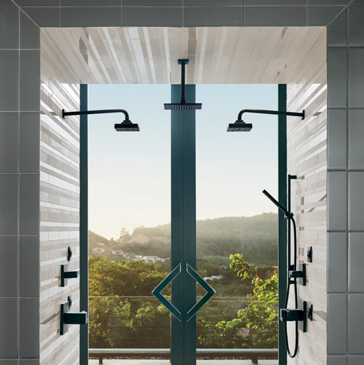 Custom Showers : Bath : Brizo