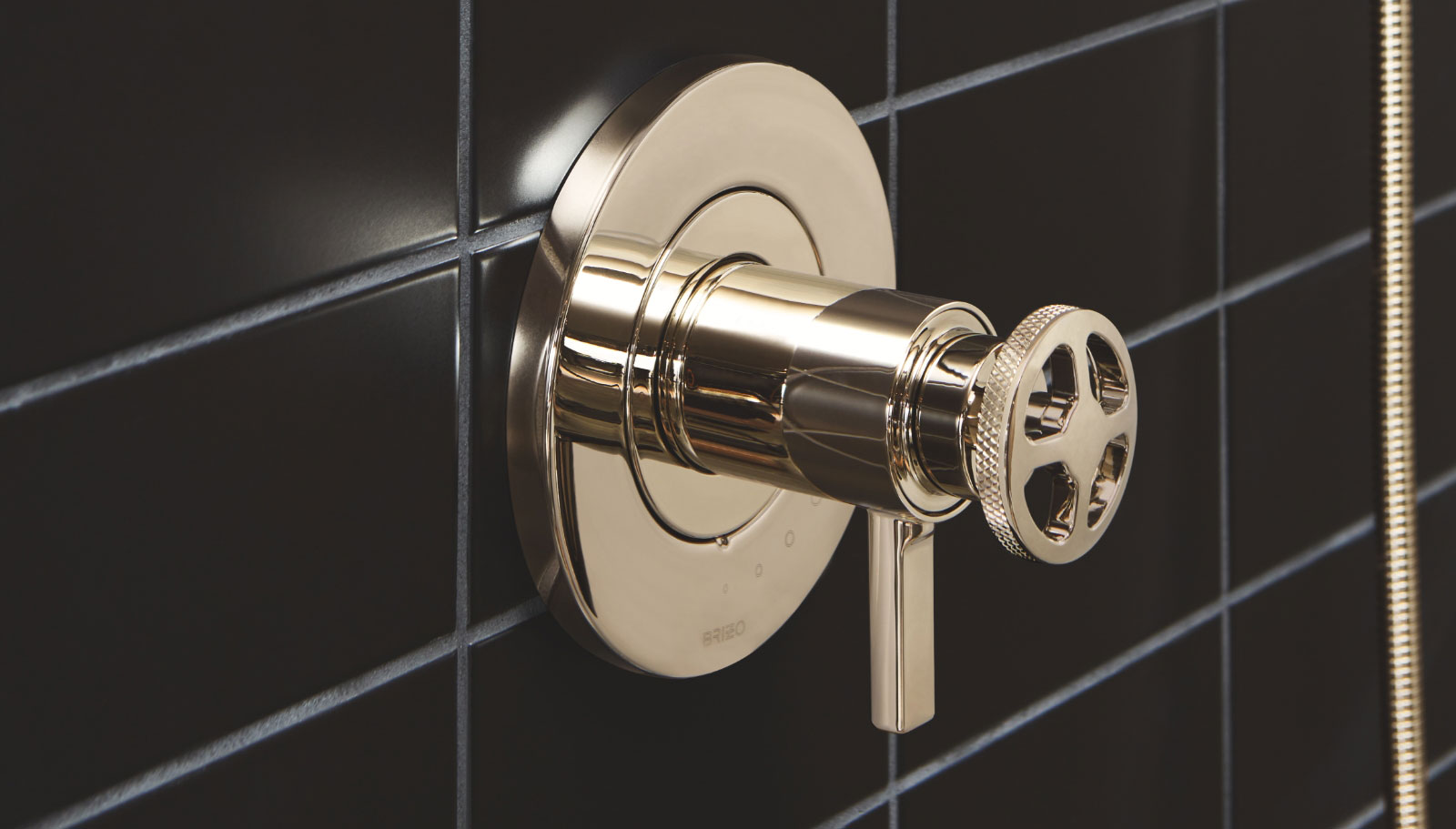 Collection Detail Page : Brizo