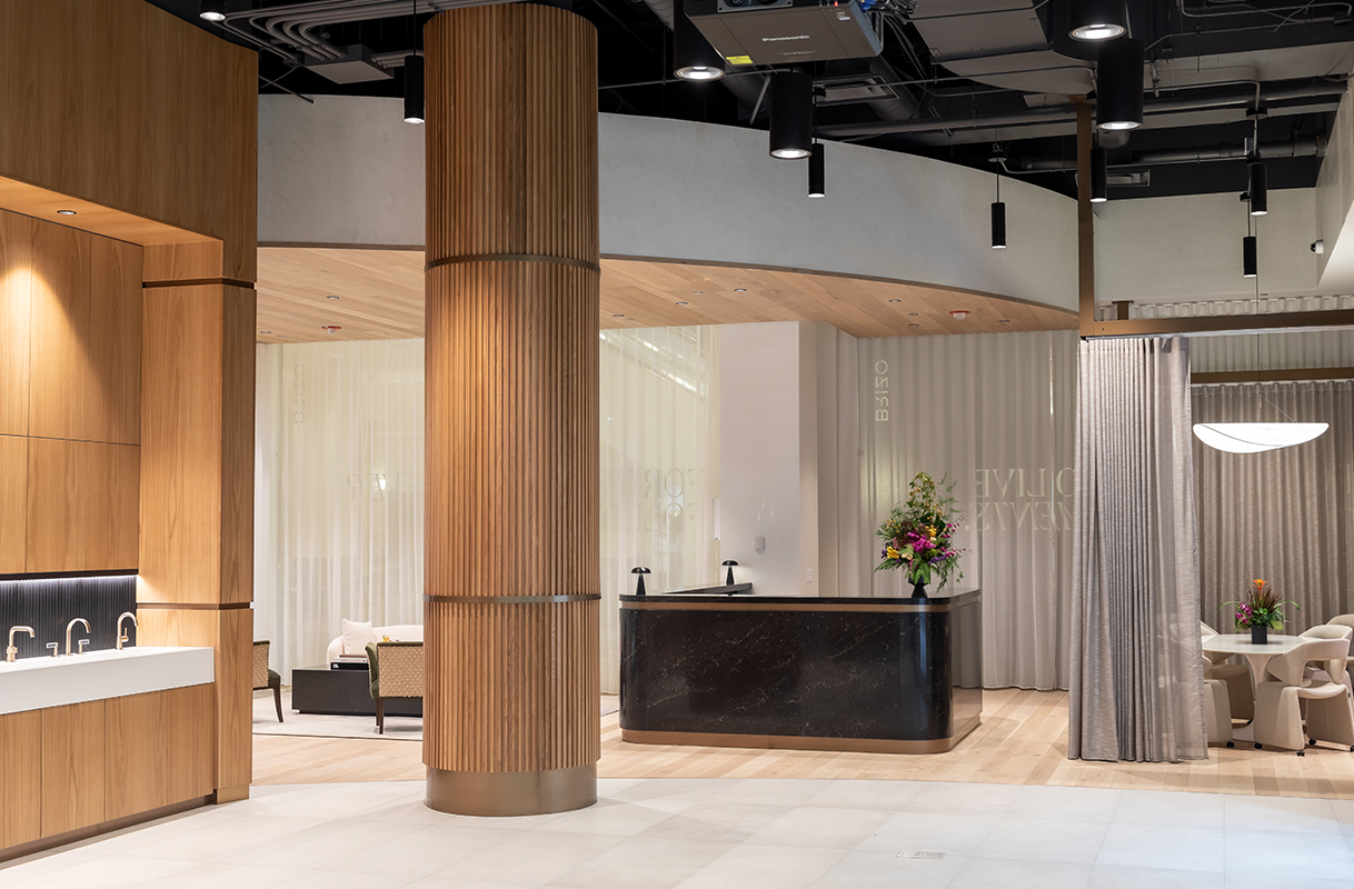 Bringing Vision to Life : Brizo