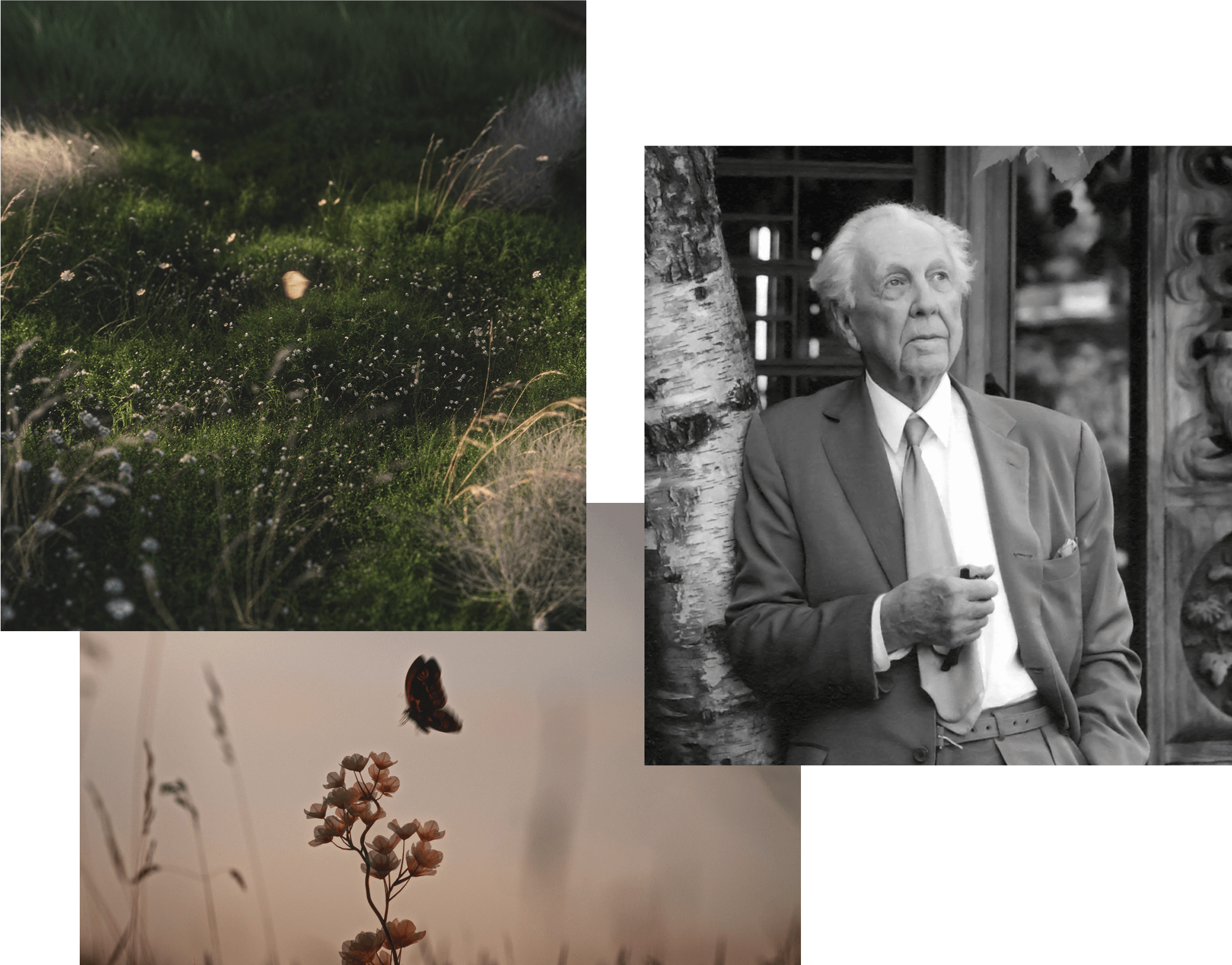 Frank Lloyd Wright Kitchen Collection : Brizo